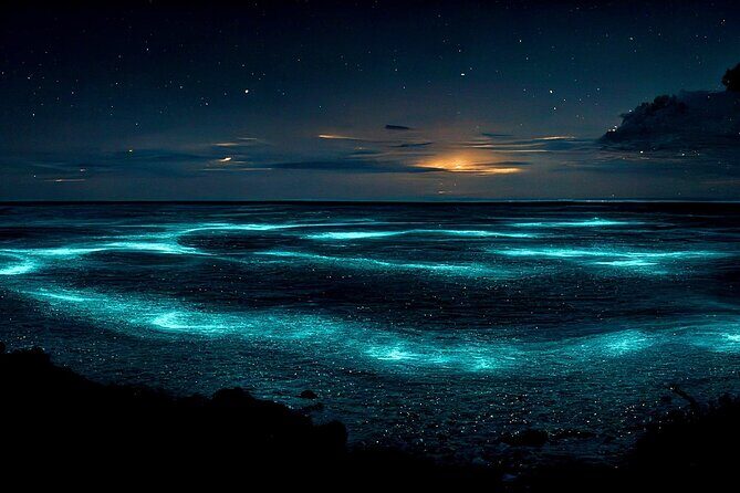 Grand Cayman Bioluminescent Bay Adventure - Authentic Experiences & Practical Tips