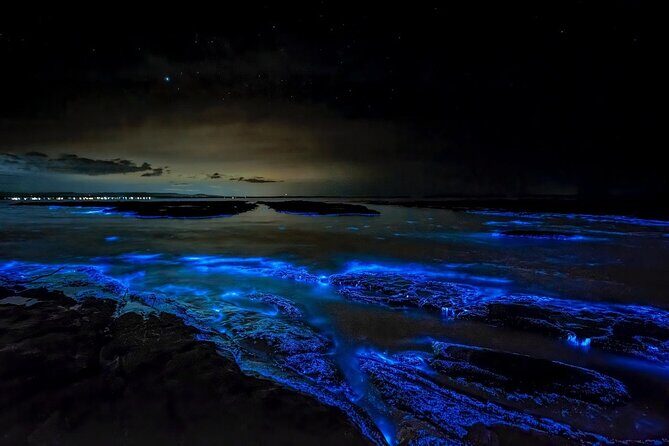 Grand Cayman Bioluminescent Bay Tour - Final Thoughts: Is It Worth It?