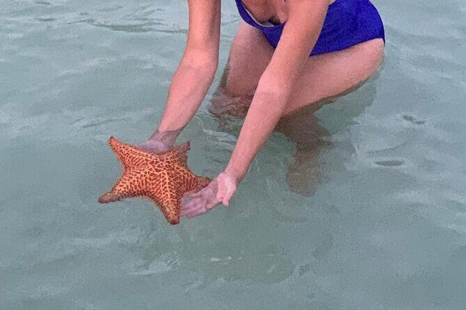 Grand Cayman - Bioluminescent Bay Tour - The Coastal Boat Ride