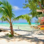 Grand Cayman Private Customized Bus Tour - Who Will Love This Tour?