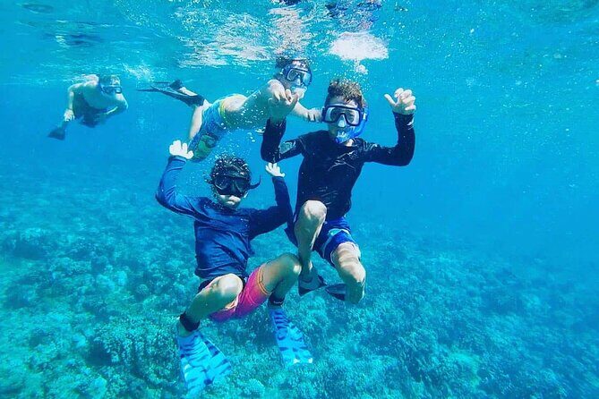 Grand Cayman Stingray City and Reef Snorkeling Combo Tour - Who Will Love This Tour?