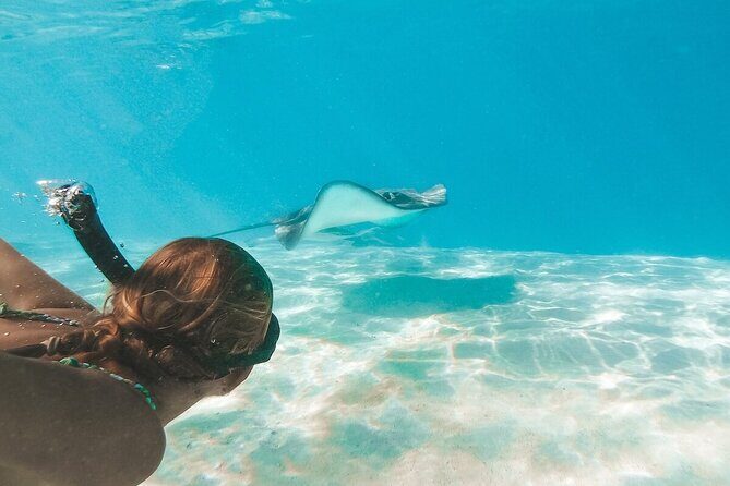 Grand Cayman Stingray City Sandbar Adventure - Who Should Consider This Tour?