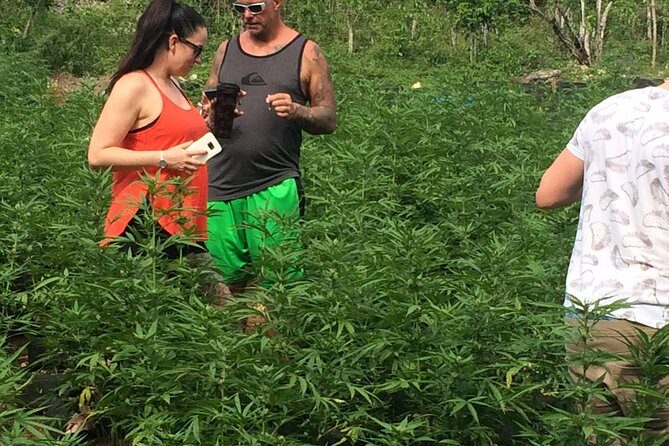 Grand Palladium from MBJ Airport - In Summary: Who Will Benefit Most?