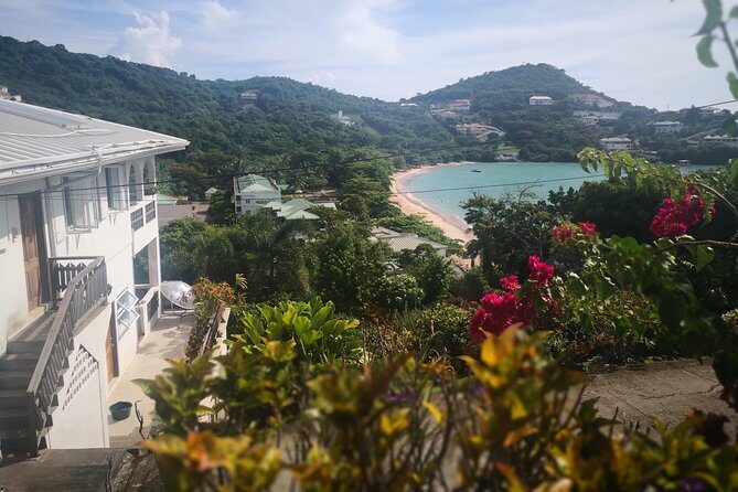 Grand Tours Grenada Call the Boss Taxi Luxurious Island Tour - Who Will Love This Tour?