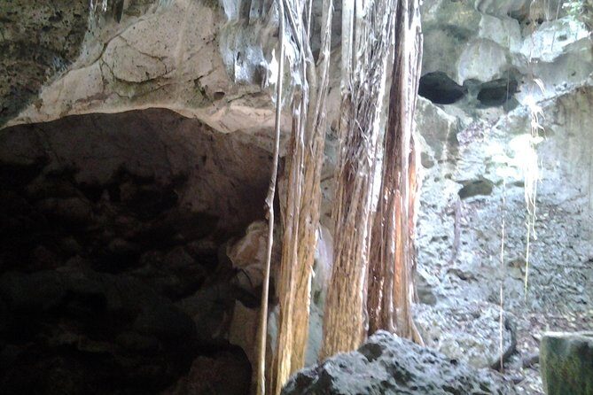 Green grotto cave tour - Pricing and Value