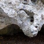 Green Grotto Excursion from Negril - The Itinerary in Detail