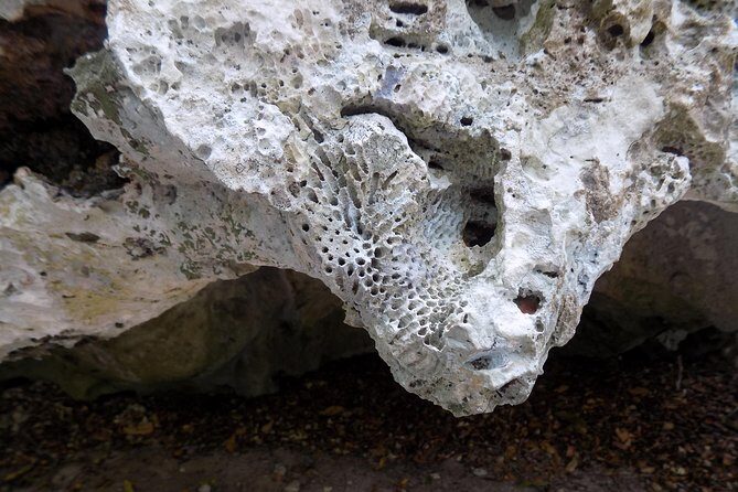 Green Grotto Excursion from Negril - The Itinerary in Detail