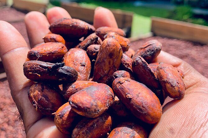 Grenada City Tour, Spice Market, Chocolate, Fort Frederick - Practical Details and Logistics