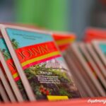 Grenada Half Day Tour: Fort, Spice, Falls, Chocolate & Lunch Stop - Final Thoughts