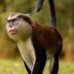 Grenada Nature and Heritage Escape Private Tour with Pickup - The Experience: What It Feels Like