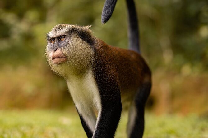 Grenada Nature and Heritage Escape Private Tour with Pickup - The Experience: What It Feels Like