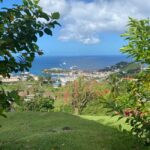 Grenada: Spice and Herb Garden Tour with Beach Visit - Exploring Laure’s Spice & Herb Garden