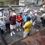 Grenada: Spice Island Expedition. - The Laura Herb & Spice Garden — A Fragrant Welcome