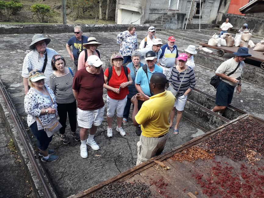 Grenada: Spice Island Expedition. - The Laura Herb & Spice Garden — A Fragrant Welcome