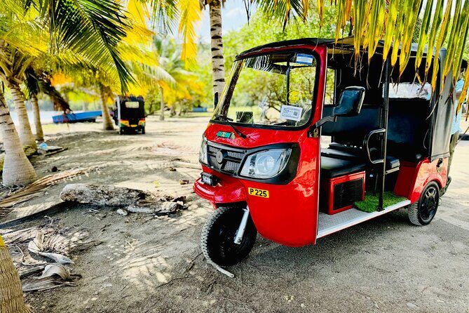 Grenada Tuk Tuk Adventure - Who Is This Tour Best For?