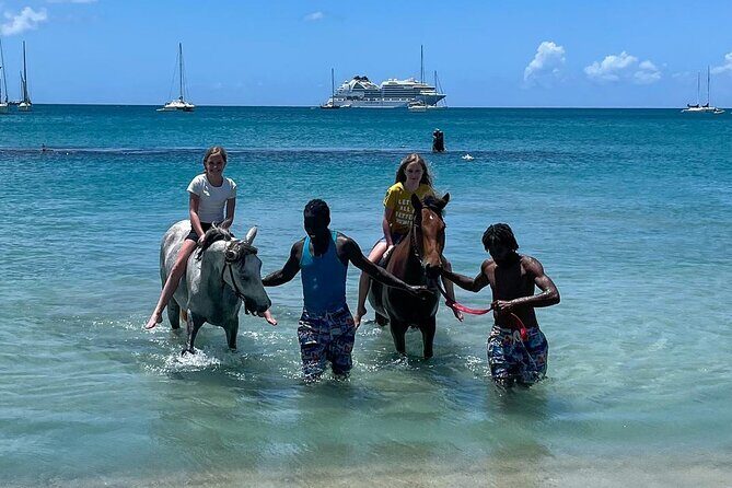 Gros Islet Village Horseback Riding run with Dore's riding Stable - Practical Details and What to Expect