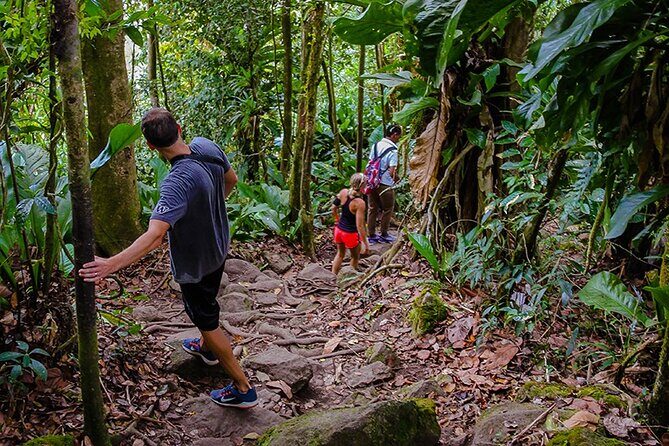 Gros Piton Hike in St. Lucia (Private) - Why This Tour Offers Good Value