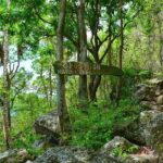 Gros Piton Hike St Lucia - Analyzing the Cost and Value