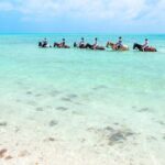 Group Beach and Ocean Horseback Adventure in Providenciales - What Travelers Say