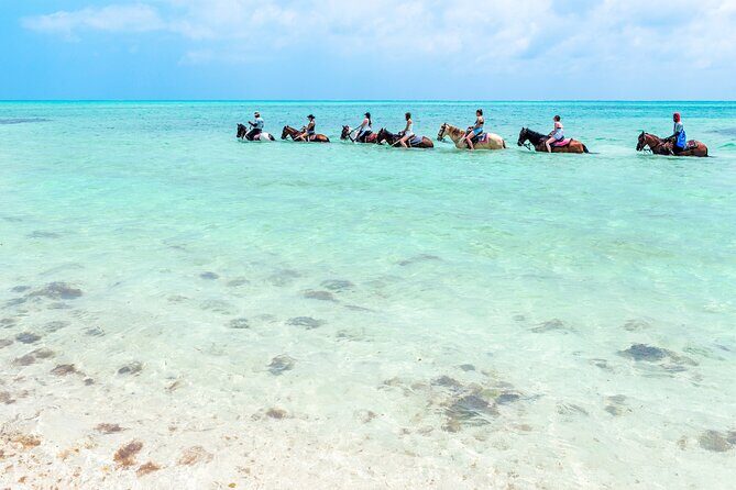 Group Beach and Ocean Horseback Adventure in Providenciales - What Travelers Say