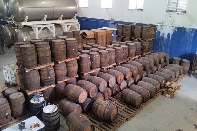 Group City Tour and Beach Experience from Cruise Port - What We Love About This Tour