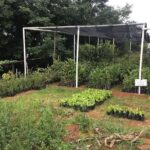 Group Tour of Nature Park - A Closer Look at the Tour Itinerary