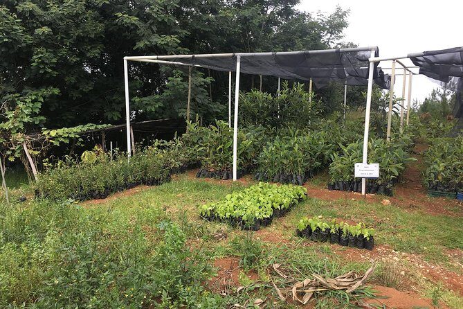 Group Tour of Nature Park - A Closer Look at the Tour Itinerary