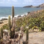 Guana Bay Coastal Hike - What Travelers Say