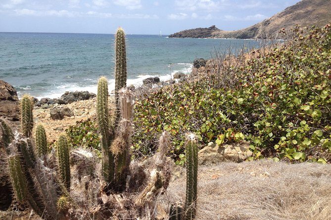 Guana Bay Coastal Hike - What Travelers Say