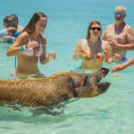 Guided All Inclusive Beach Day Excursion in Bahamas - Group Size and Duration