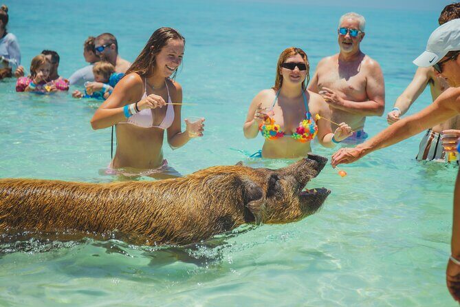 Guided All Inclusive Beach Day Excursion in Bahamas - Group Size and Duration