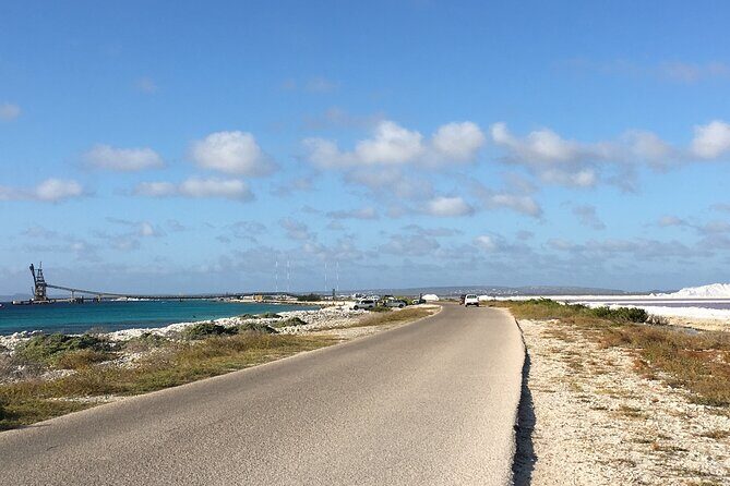Guided Bonaire North and South Tour - Who Would Love This Tour?