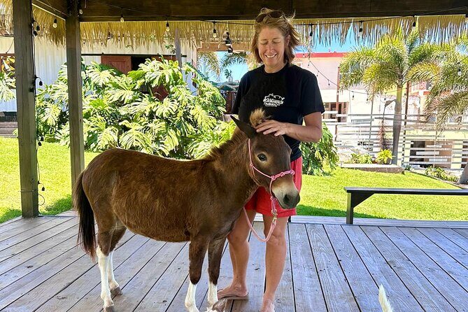 Guided Hike with Miniature Donkeys to a Secluded Beach - The Sum Up: Why Choose This Experience?