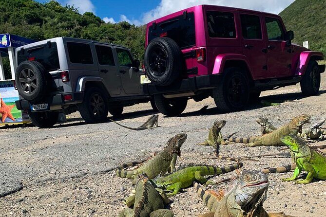 Guided Jeep Tour Exploring French and Dutch St Maarten - What Makes This Tour Stand Out