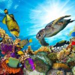 Guided Kayak Tour from Elysian - The Guides and Personal Touch