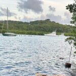 Guided Kayak Tour of Salt River Bay Ecology and History - FAQs