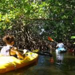 Guided Kayaking Tour of the Mitan Pond and its Mangrove - An In-Depth Look at the Kayaking Experience