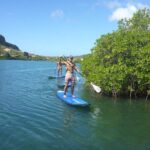 Guided paddleboarding (SUP) mangrove ECO tour for beginners - The Sum Up: An Authentic, Relaxing, and Educational Adventure