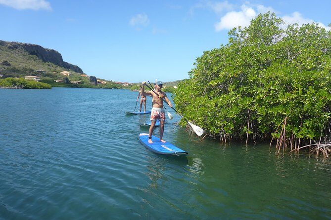 Guided paddleboarding (SUP) mangrove ECO tour for beginners - The Sum Up: An Authentic, Relaxing, and Educational Adventure