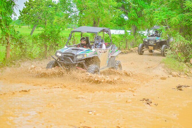 Guided Polaris Buggy Tour to Punta Cana - The Experience: What You’ll Love and What to Consider