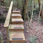 Guided Primeval Nature Walk Tour - What to Expect in Terms of Logistics and Value