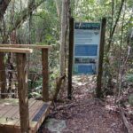 Guided Primeval Nature Walk Tour in Primeval Forest National Park - What to Expect in Terms of Transportation & Comfort