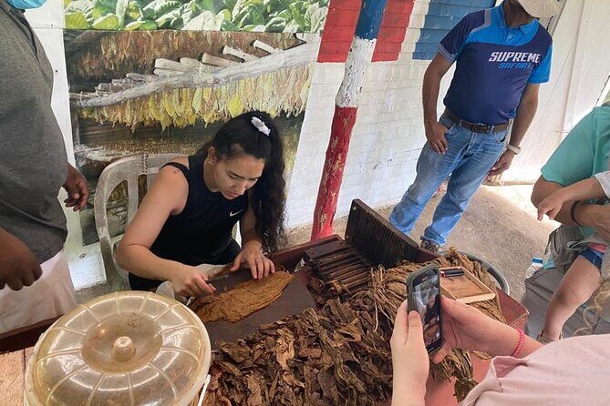 Guided Safari Tour in Punta Cana - Authentic Experiences That Stand Out