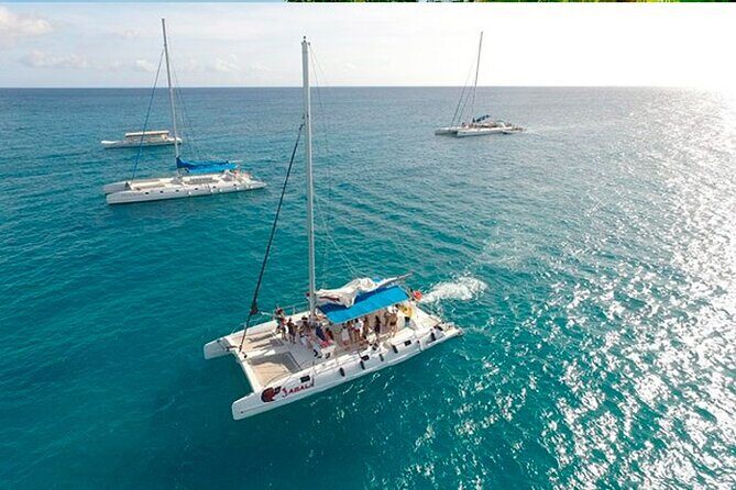 Guided Saona Island Tour in Punta Cana - Why This Tour Stands Out