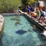 Guided Tour of Coral World Ocean Park & Happy Hour - Why This Tour Works for Different Travelers