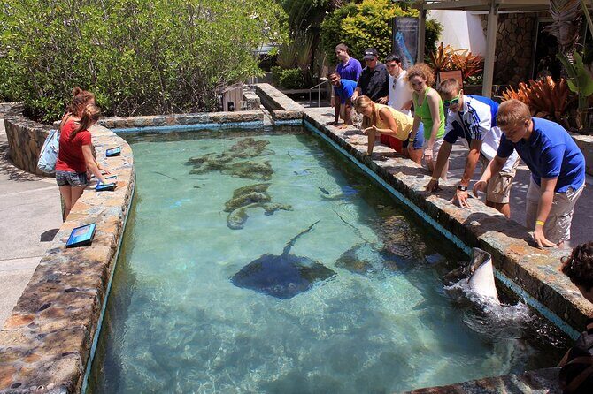 Guided Tour of Coral World Ocean Park & Happy Hour - Why This Tour Works for Different Travelers