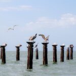 Haitises & Montaña Redonda, Nature's Beauty Tour - The Value of This Tour