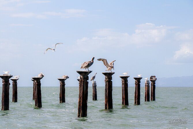Haitises & Montaña Redonda, Nature's Beauty Tour - The Value of This Tour