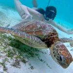 Half-Day at Green Cay Bahamas Snorkeling with Turtles - Value and Pricing