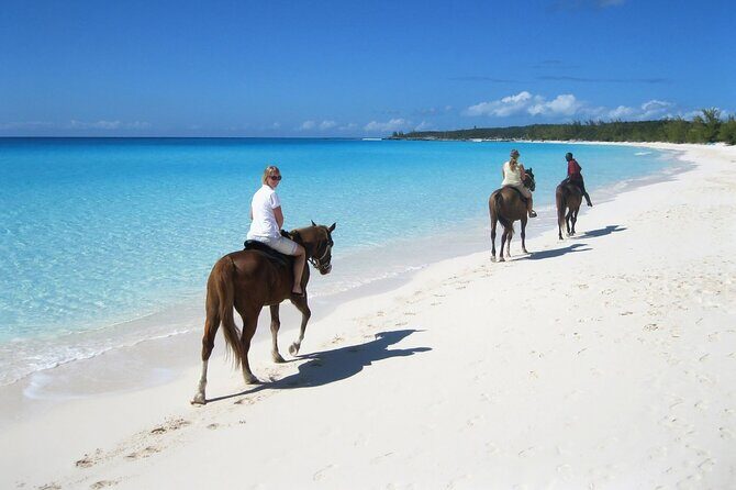 Half-Day Beach Horse Back Riding in Puerto Plata - Authenticity and Quality: What Makes This Tour Special